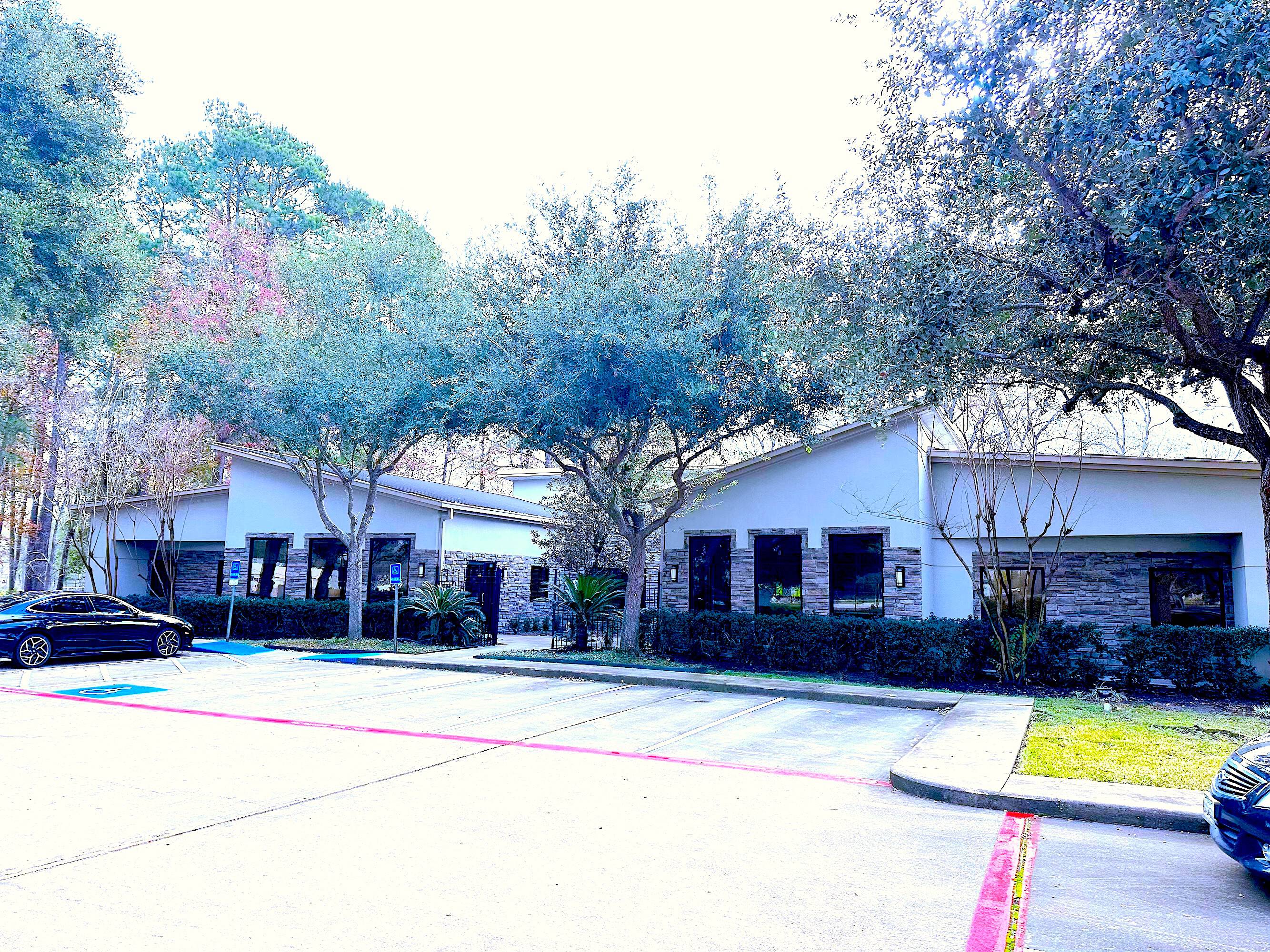 2525 LOUETTA RD Spring TX 77388-4727 APN: 1254110010003 | Crexi.com