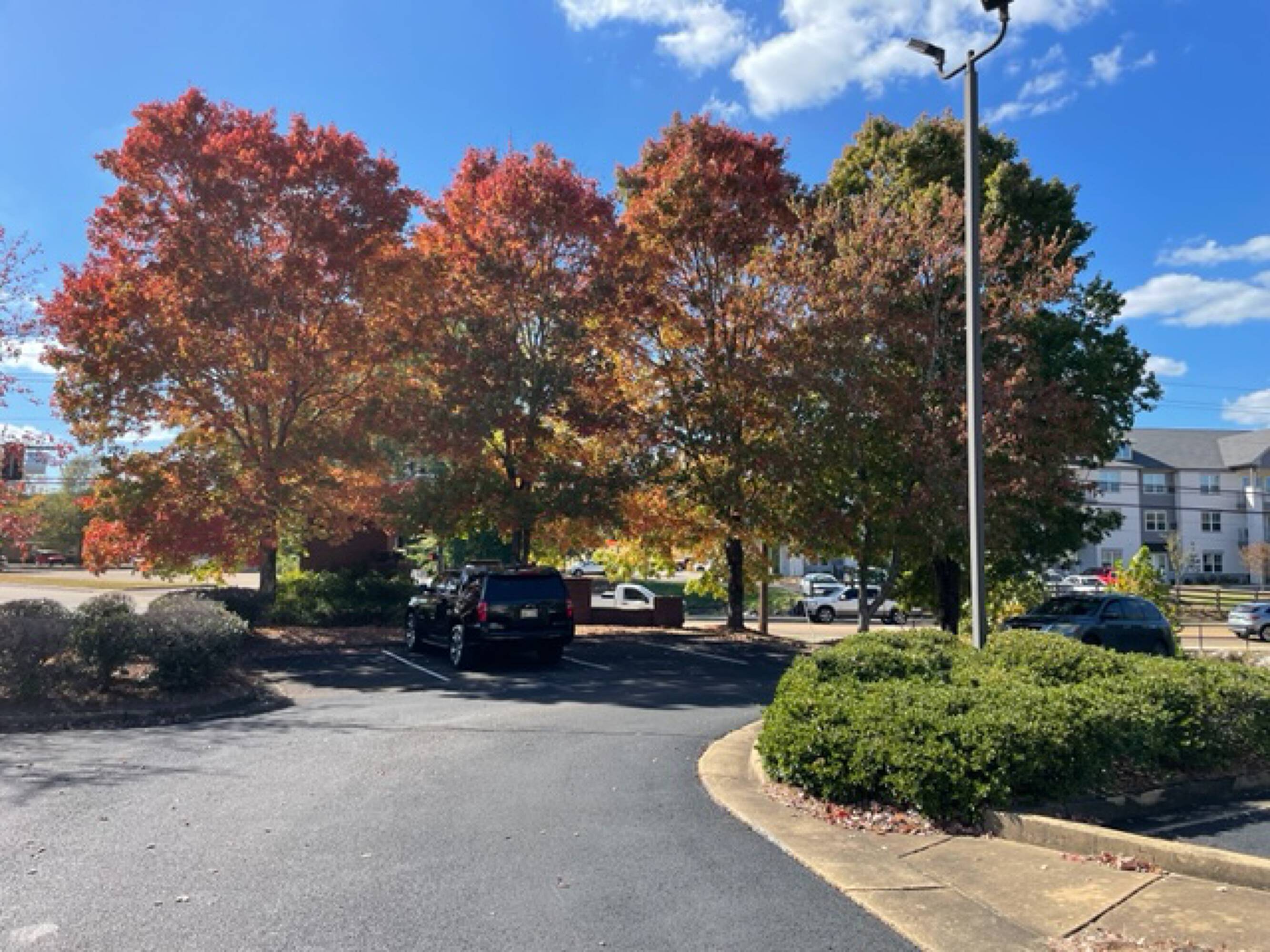 1201 Office Park Dr, Oxford, MS 38655 | Crexi.com