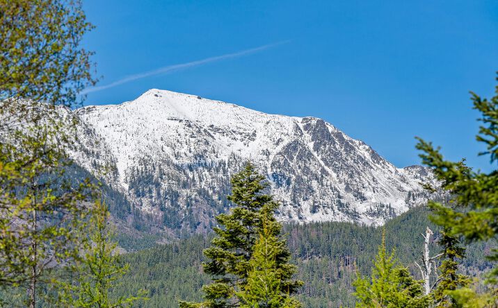 14156 Orvis Evans Drive, Bigfork, MT 59911 | Crexi.com