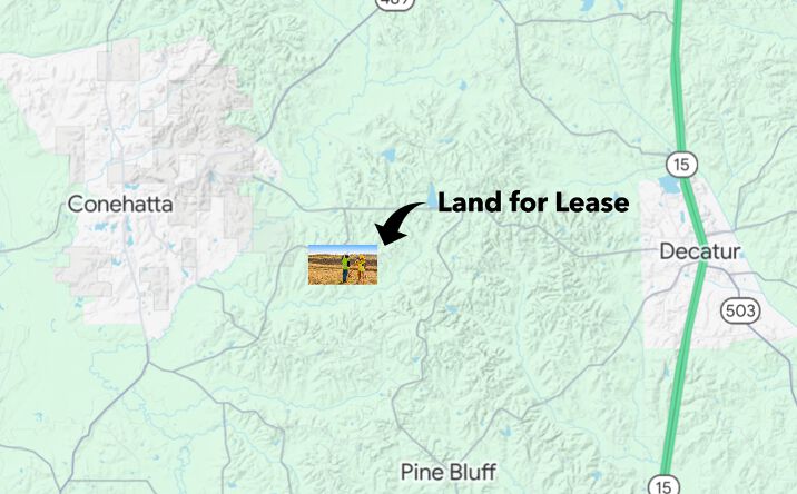 Decatur, MS, Decatur, MS 39057 | Crexi.com