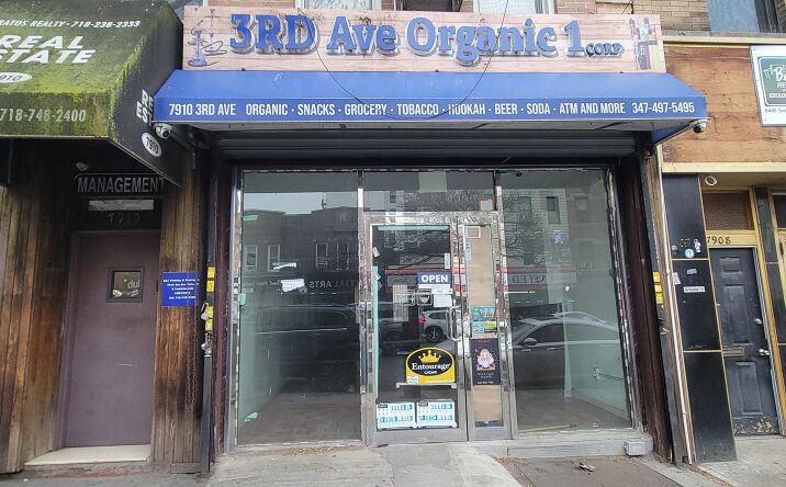 7910 3rd Ave, Brooklyn, NY 11209 | Crexi.com