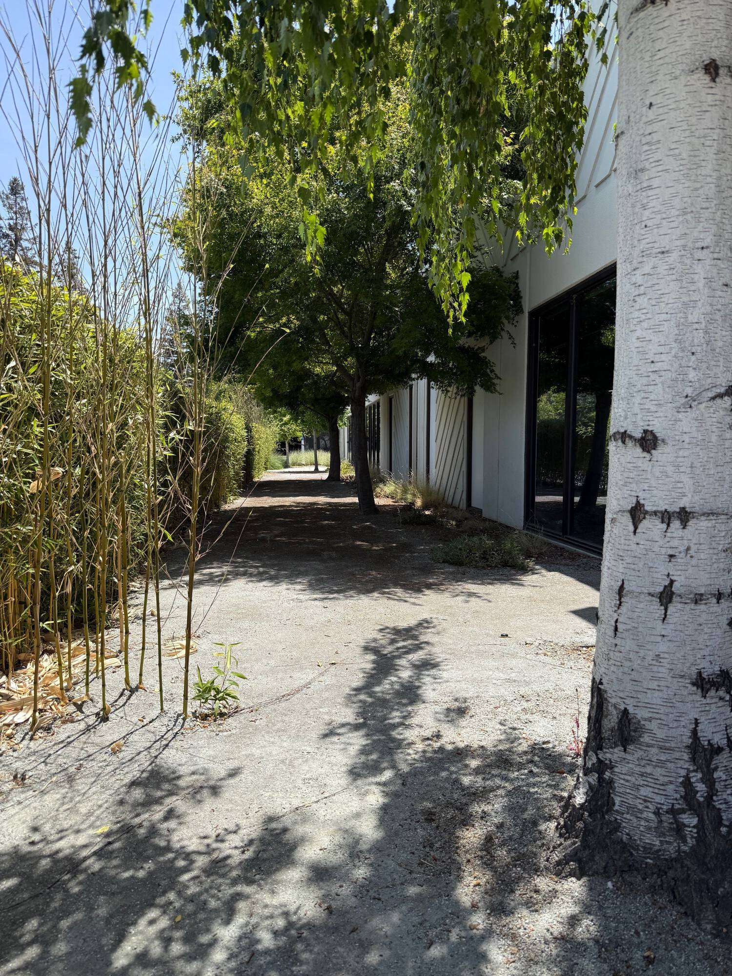 10161 Bubb Rd, Cupertino, CA 95014 | Crexi.com