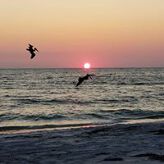 Bruce Erickson - Alexandria Property Group | Crexi