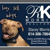 Stacey Morris - R.K. Morris & Associates | Crexi